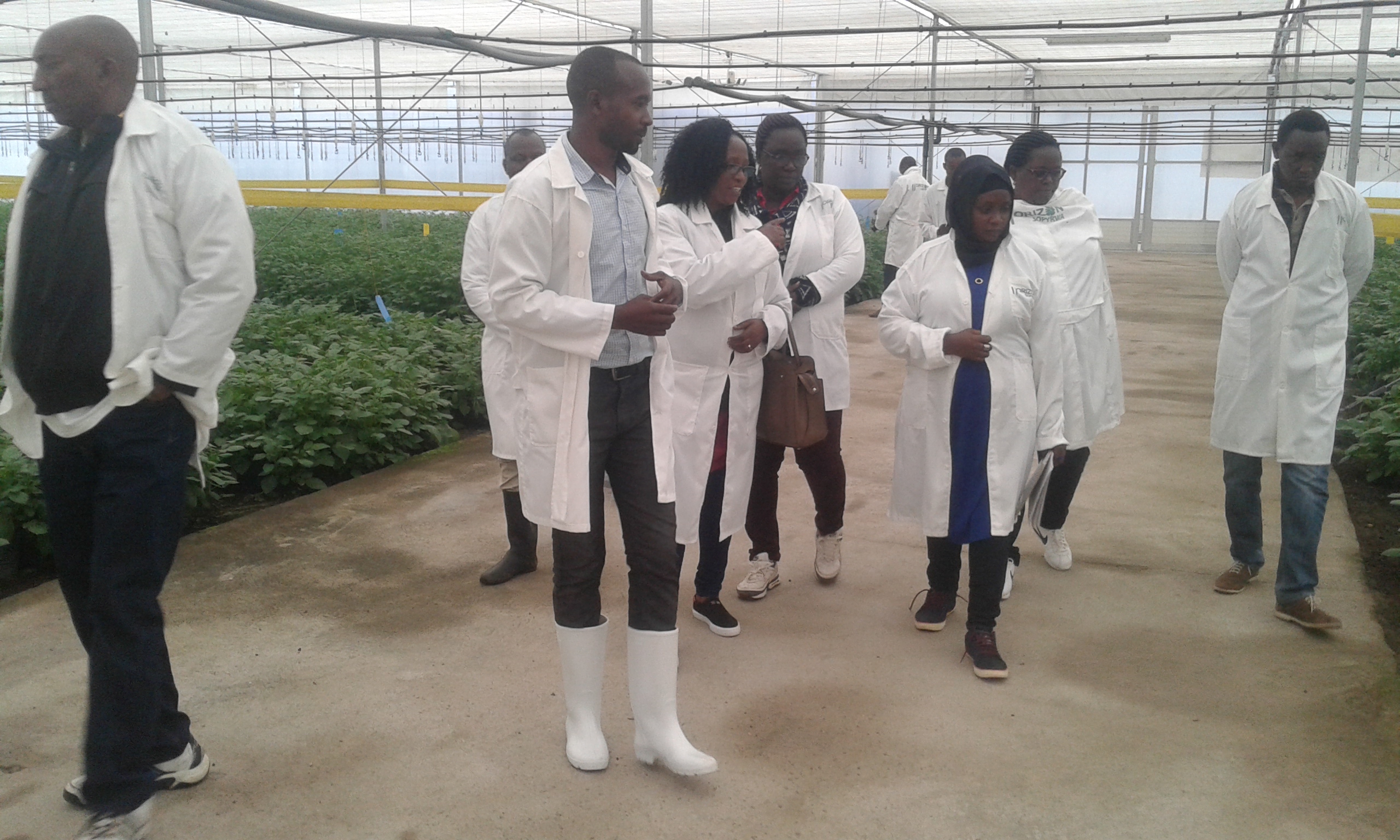 Musanze: Abaturage bakirije abadepite uruhuri rw’ibibazo byo mu buhinzi - Kigali Today