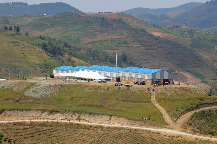 2019: RAB yasubiye muri ‘ISAR Rubona’, icyayi cy’u Rwanda cyahize ...