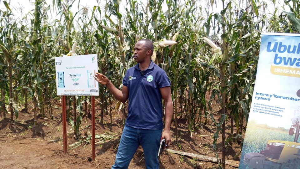 RICA iramara impungenge abahinzi ku mbuto zituburirwa mu Rwanda ...